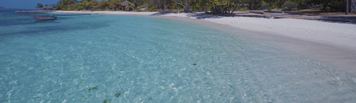 Book a Flight - Mustique Airways